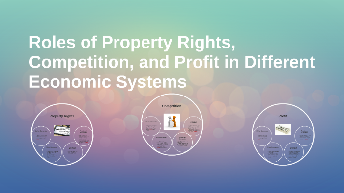 Property Rights, Competition, and Profit in Different Econom by Evelyn ...