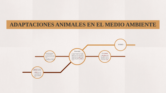 ADAPTACIONES ANIMALES EN EL MEDIO AMBIENTE by Jorge Marquina on Prezi