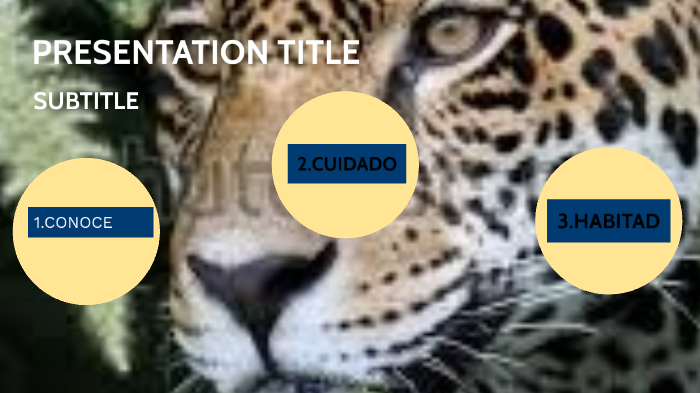 zoologico de Santa Cruz by SOFIA RUDAN GOMEZ on Prezi