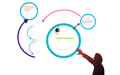 Tropical Rainforest (Ecosystem Project) by Lili Ferrero on Prezi