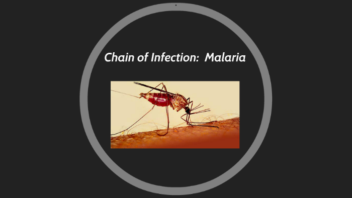 Mind Map of Malaria by Sameer Virani on Prezi