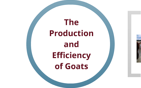 Goat Presentation by george muller on Prezi