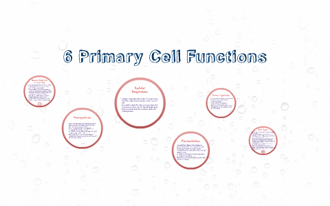 6 Primary Cell Functions by Taylor Mall on Prezi