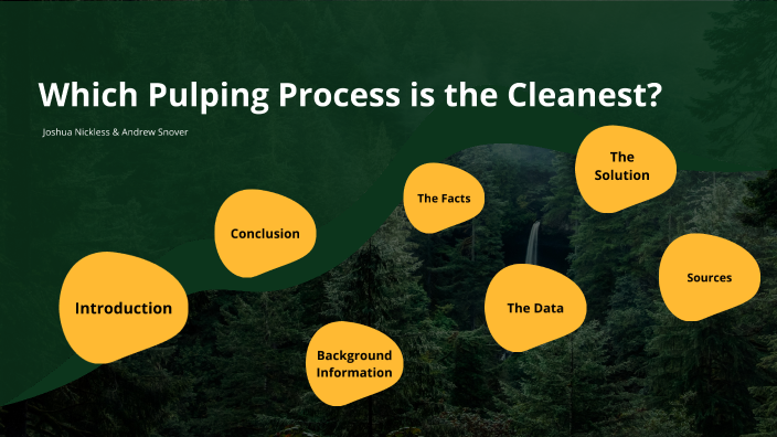 Paper Mill Pollution by Andrew Snover on Prezi