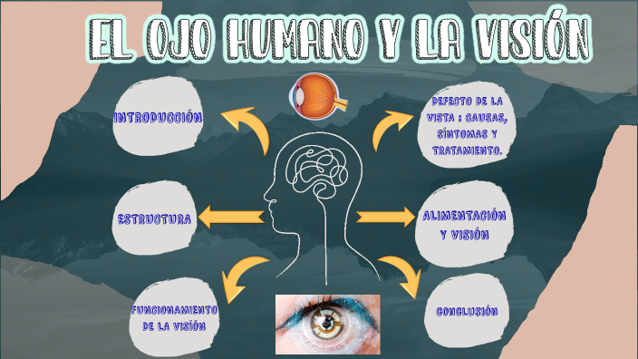 El ojo humano y la Visión by Tabata Barros on Prezi