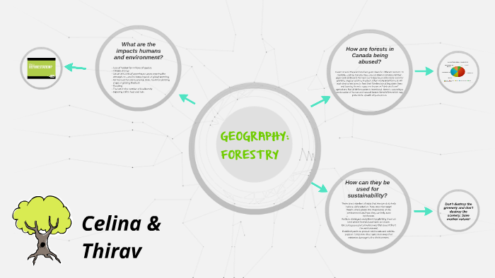 GEOGRAPHY: FORESTRY by Celina Rai on Prezi