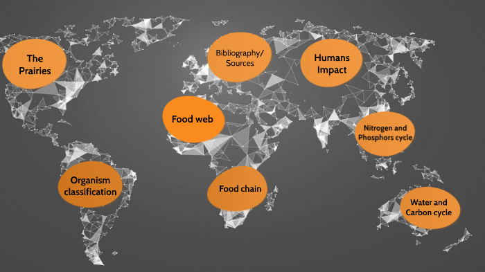 Biosphere Cumulative Project - Prairie Ecosystem. by Sam Natavio on Prezi