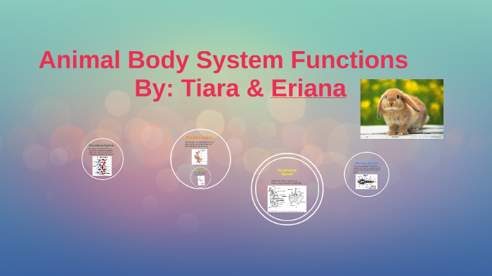 Animal Body System Functions by Tiara Wright on Prezi