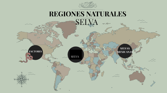REGIONES NATURALES (SELVA) by Angel Gabriel Chavez Vasquez on Prezi