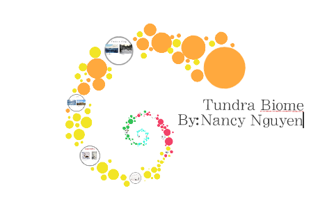 Tundra Biome by Nancy Nguyen on Prezi