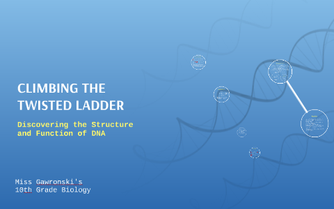 CLIMBING THE TWISTED LADDERS by Kayla Gawronski