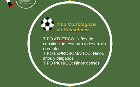Tipo Morfologios de Kretschmer by salvador torres on Prezi