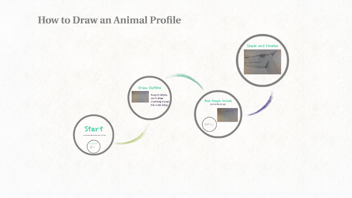 How to Draw an Animal Profile by Charles Wickenheiser on Prezi