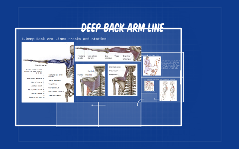 Deep Back Arm Line by 혜미 유 on Prezi