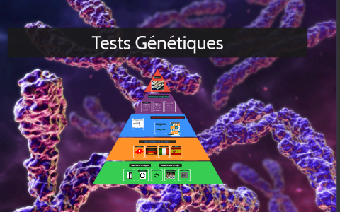 Test génétique by Aurélie Duval on Prezi