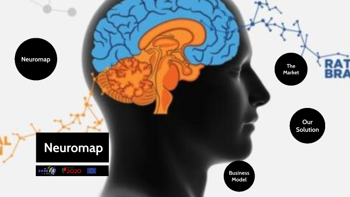 Neuromap by Gabriel Araújo on Prezi