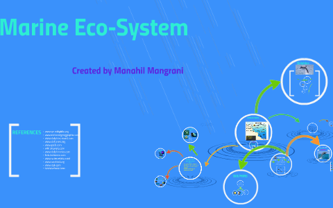 Marine Eco-System by purple10019 _1direction on Prezi