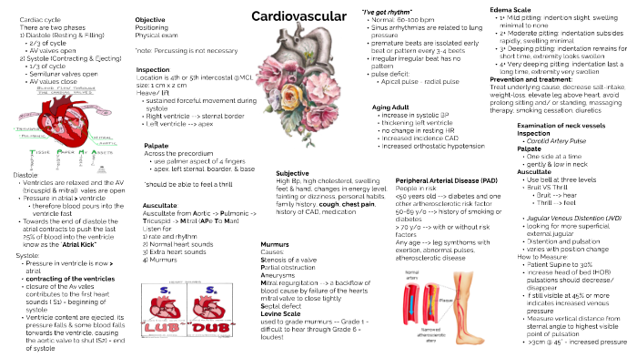 cardiac mind map by Kim Huynh on Prezi