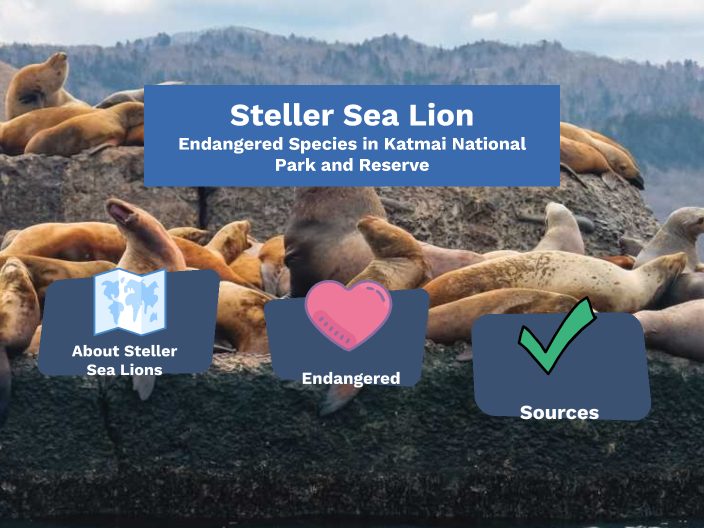 Katmai National Park Species Project by Kaity Olson on Prezi