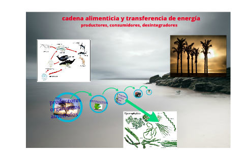 cadena alimenticias y transferencia de energía by maribel rebolledo ...