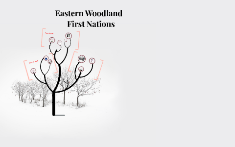 Eastern Woodland First Nations by Zaineb Sheikh on Prezi