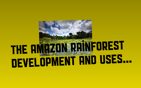 Amazon Rainforest Use and Development by Emma Tel
