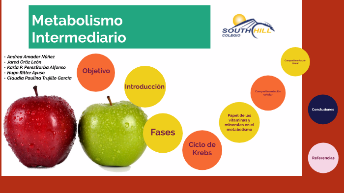 Metabolismo Intermediario by pepe jorge on Prezi