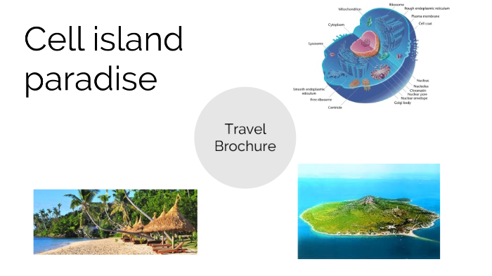 Cell island by Riley Vanness on Prezi