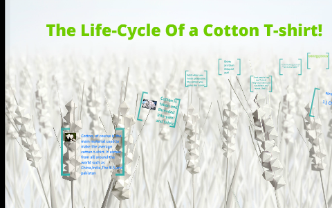 Life cycle of a Cotton T-shirt by Christian Adams on Prezi