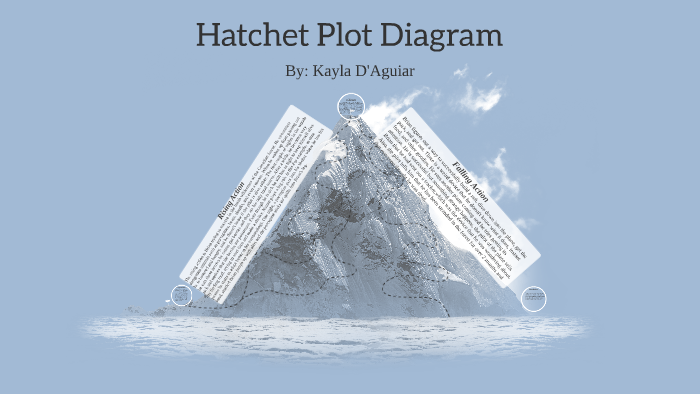 Hatchet Plot Diagram by Kayla D
