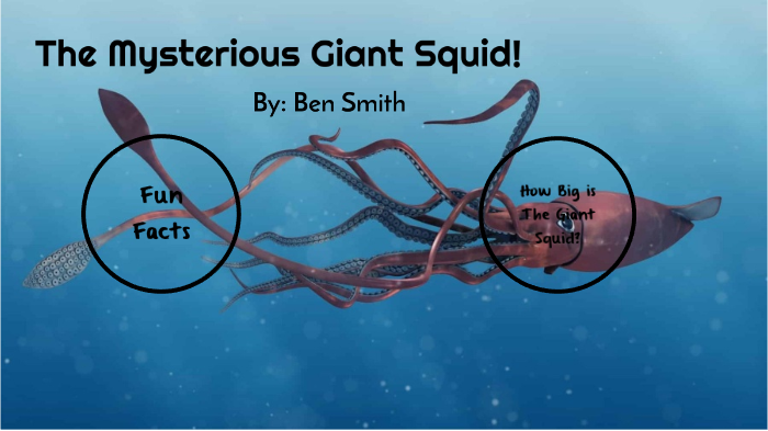 The Mysterious Giant Squid! by Ben Smith on Prezi
