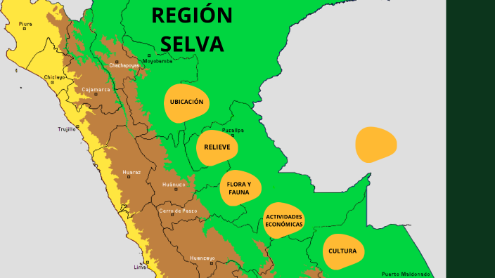 REGIÓN SELVA by JOSÉ CRIOLLO on Prezi
