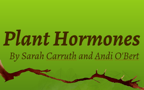 Plant Hormones by Sarah Carruth on Prezi