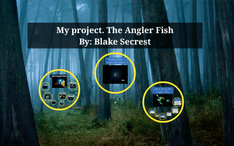 Taxonomy of the angler fish. by Blake Secrest on Prezi