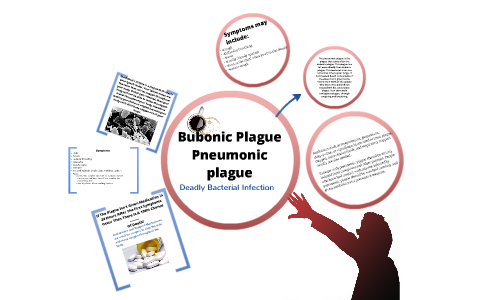 Science Project - Bubonic Plague by Jung Moon on Prezi