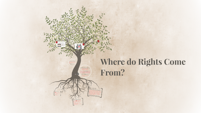 Where do Rights Come From? by Thomas Flanagan