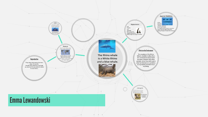 The Rhino Shark by emma lewandowski on Prezi