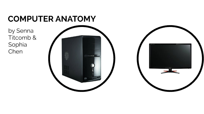 Computer Anatomy by Sophia Chen on Prezi