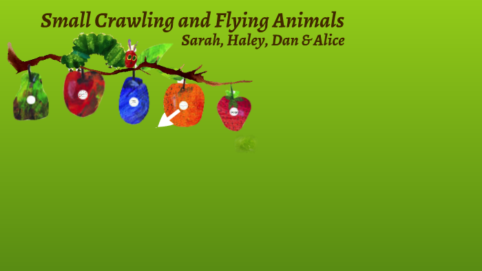 Small Crawling and Flying Animals by Alice MacKay on Prezi