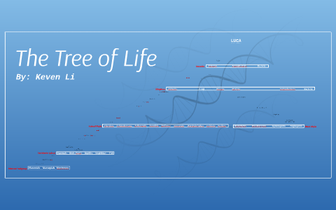 The Tree of Life by Keven Li on Prezi