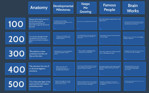 Brain Works Development Jeopardy Game by Stephanie Ugalde on Prezi