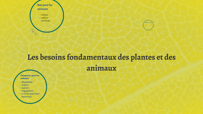 Les besoins fondamentaux des plantes et des animaux by laurence perron ...