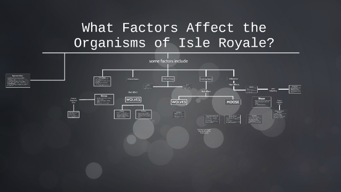 What Factors Affect the Organisms of Isle Royale? by Helen Li on Prezi