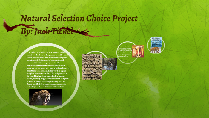 Natural Selection Choice Project by Jack Tickel on Prezi