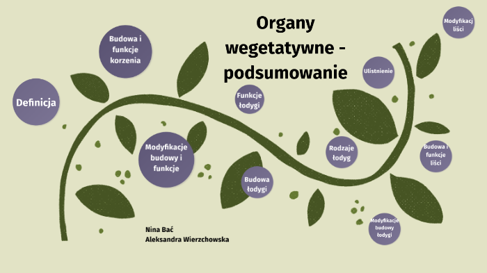 Organy wegetatywne by Ninaa B on Prezi