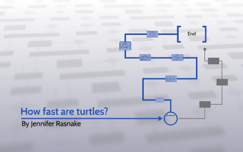 How fast are turtles? by Jennifer Rasnake on Prezi