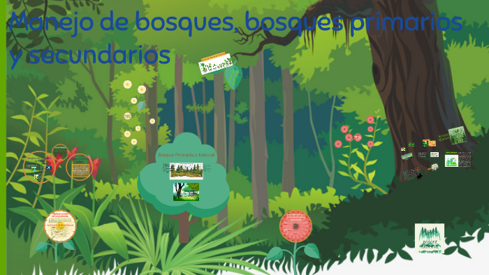 Manejo de bosques, bosques primarios y secundarios by Diego Barrundia ...