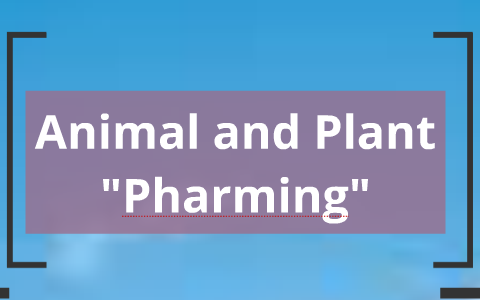 Animal and Plant "Pharming" by chelsea B on Prezi