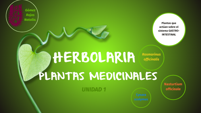 Unidad 1 plantas medicinales by Nan Rojas on Prezi