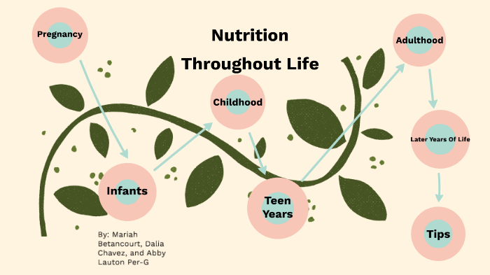 Nutritional Timeline by Mariah Betancourt on Prezi